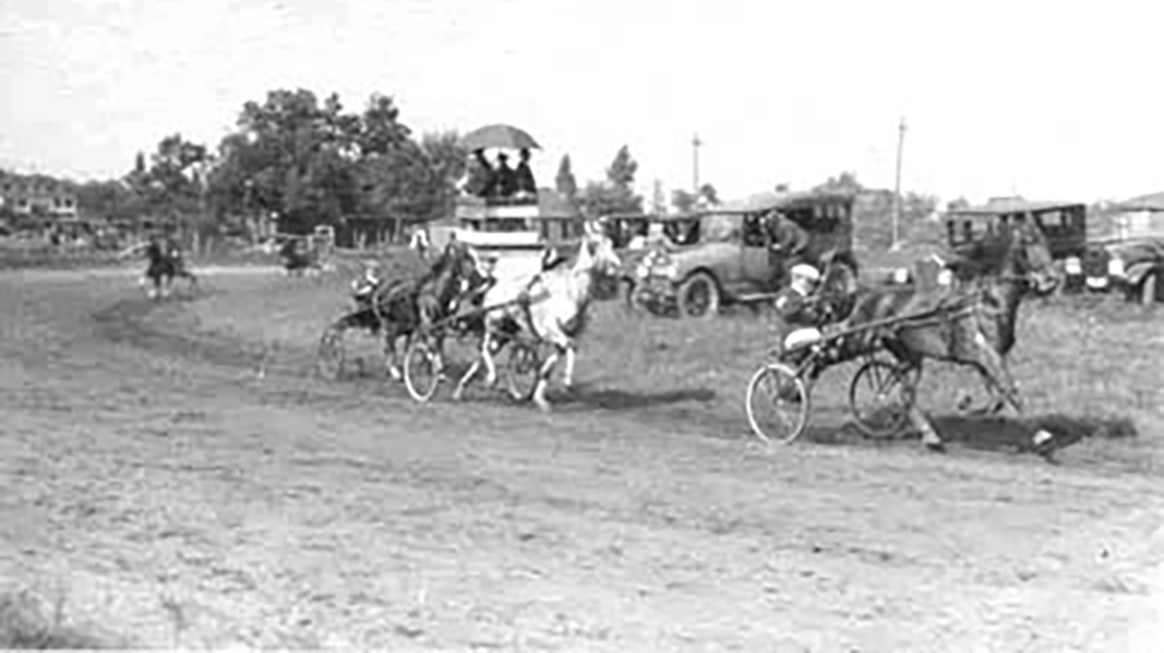 The Golden Cove Trotting Park - Chelmsford’s Fabric